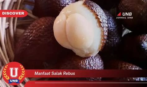 Temukan 6 Manfaat Salak Rebus Yang Jarang Diketahui Yang Wajib Kamu Ketahui
