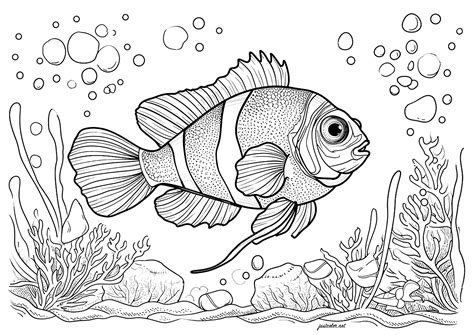 Peces para colorear Páginas de Peces para imprimir