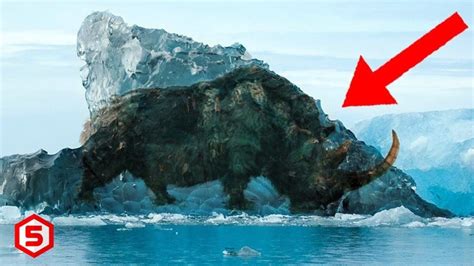 10 Penemuan Aneh Yang DiTemukan Membeku Di Dalam Es Ada Hewan Purba