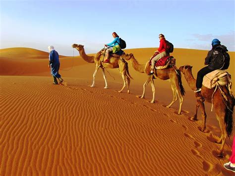 Marrakech To Fes Desert Tour 3 Day 149