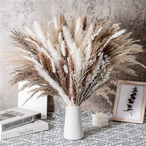 Pampas Gras Gedroogd 58 Stuks Natuurlijke Gedroogde Bloemen Set