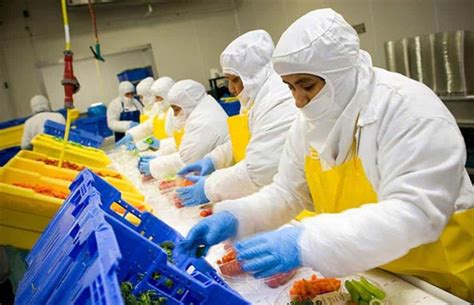 Inocuidad y seguridad alimentaria los pilares de una producción