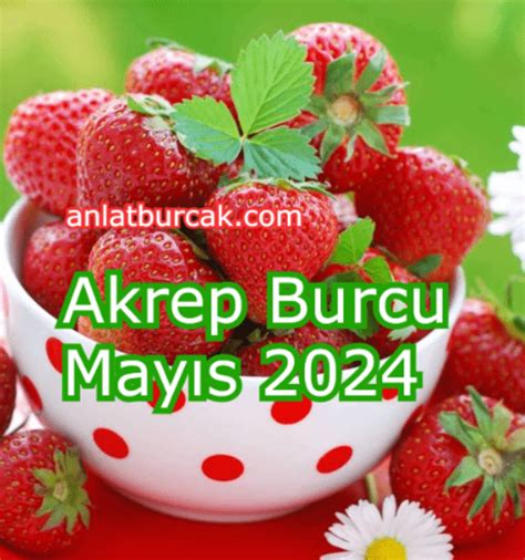 Akrep Burcu May S Anlat Bur Ak