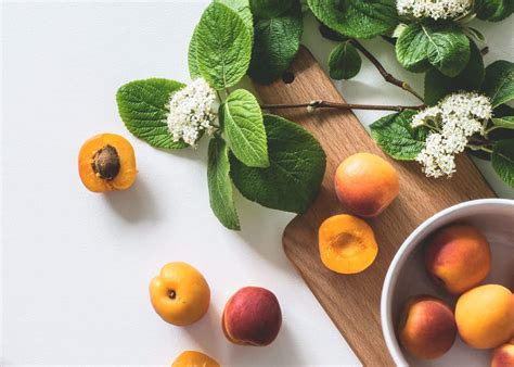 How To Grow Apricot From Seed Discover The Joy Of Nurturing Stone