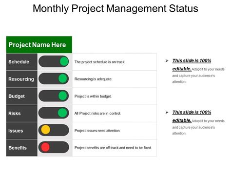 Monthly Project Management Status Example Of Ppt Presentation