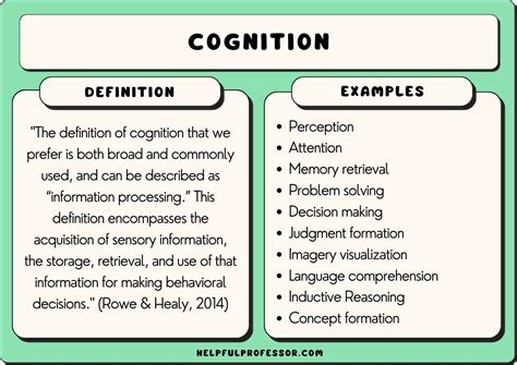 101 Cognition Examples 2024