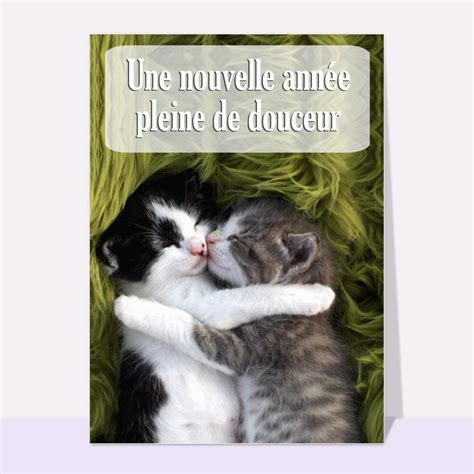 Calendrier 2024 Avec Des Chats Image To U