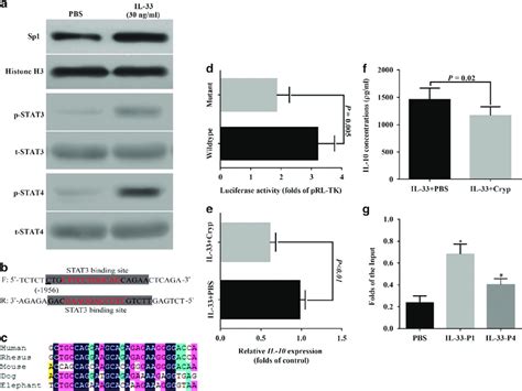Identification Of Transcription And Target Sequences That React With