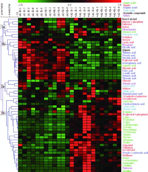 Heat Map Analysis Combined With Hierarchical Clusters Analysis Of The
