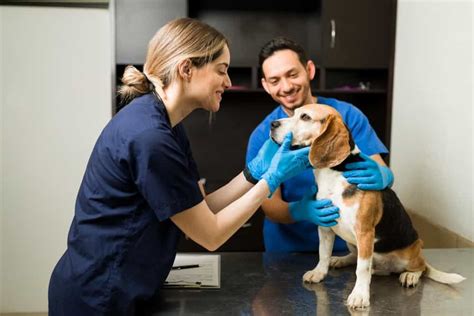 TÉCNICO EM VETERINÁRIA Multipla Escolha Centro Educacional