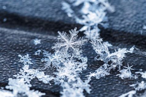 13 Perfect Snowflakes Captured In Photos