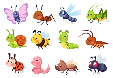 Cartoon Insect Clipart
