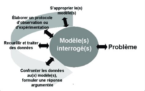 Les quatre phases d une démarche d investigation scientifique