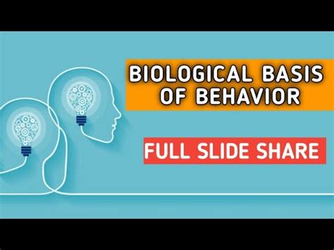 Introduction To Psychology Biological Basis Of Behavior YouTube