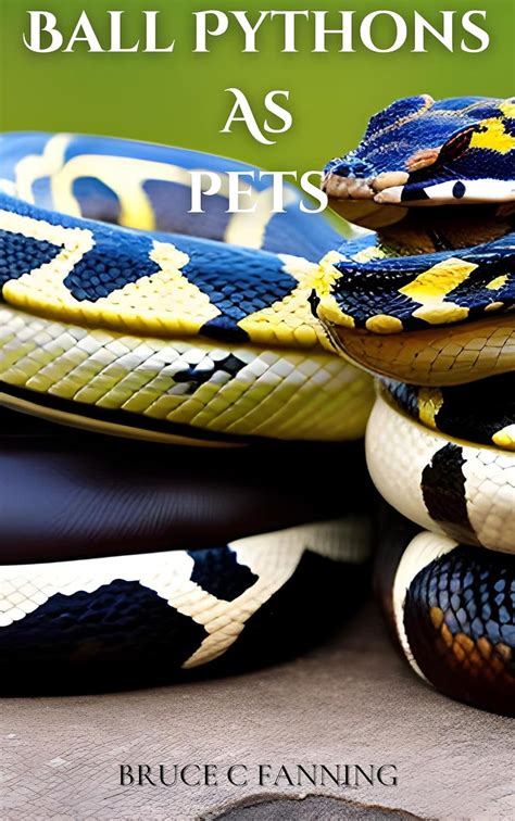 Ball Pythons As Pets The Breeding Of Ball Pythons Where To Acquire