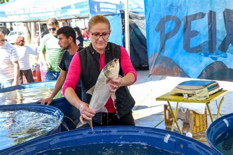 Feira Do Peixe Vivo Acontece Na Quinta Feira Editoria Cidade Jornal