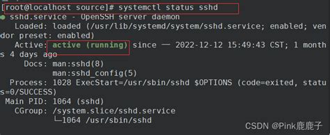 初学vscode连接远程详细步骤 遇到的问题以及解决办法 vscode正在打开远程 csdn博客