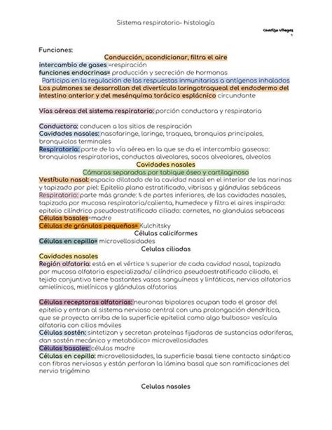 Sistema Respiratorio Histologia M Dical Noteees Udocz