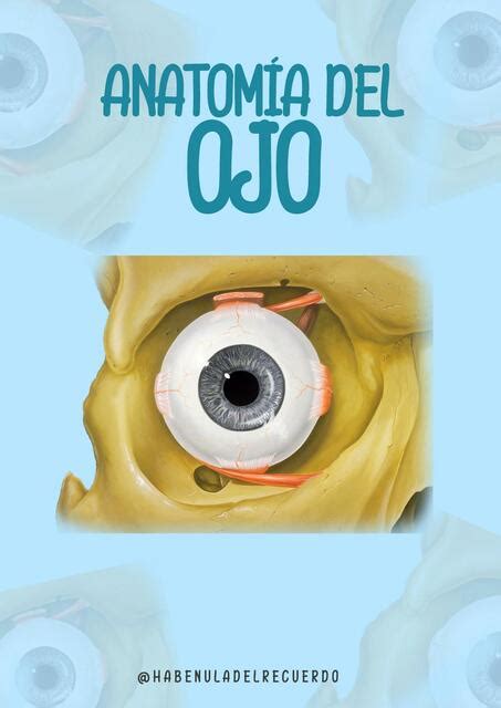 Anatomía del Globo Ocular Habenuladelrecuerdo uDocz
