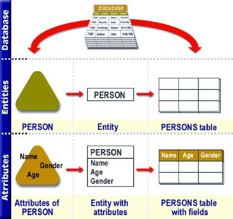 Define Entities Attributes ERD Model