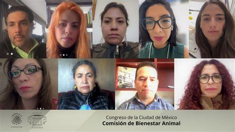 Aprueban en comisión expedir Ley de Protección y Bienestar Animal CDMX