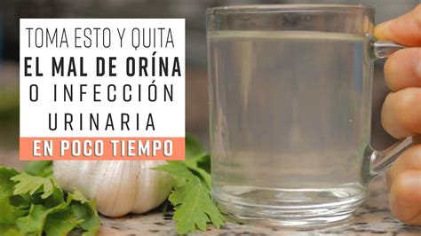 Toma esto y QUITA EL MAL DE ORÍNA o Infección Urinaria en poco tiempo