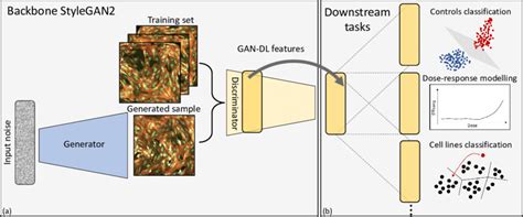 overview of gan dl self supervised representation learning framework download scientific