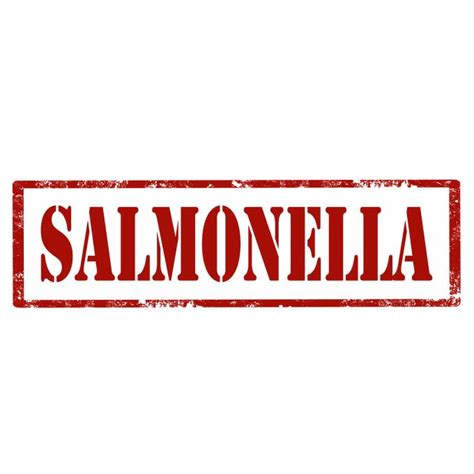 Zakażenie salmonellą objawy leczenie Czy salmonella jest zaraźliwa