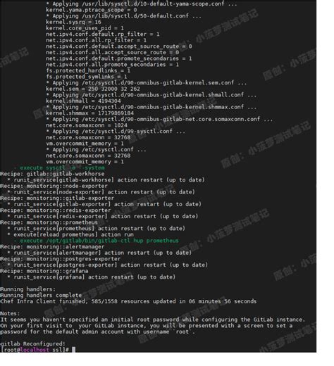 gitlab（2） centos7 x 下安装社区版 gitlab 以及它的配置管理 （下） 阿里云开发者社区
