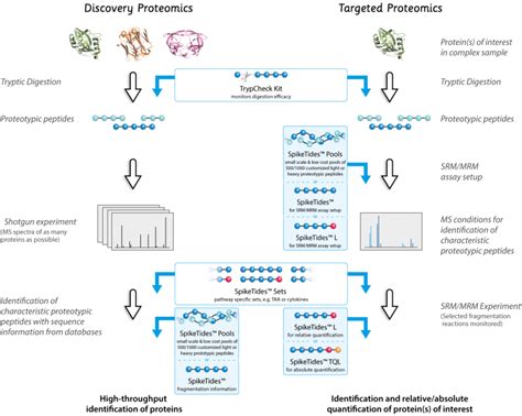 Ms Based Proteomics