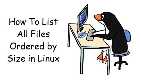 How To List All Files Ordered By Size In Linux OSETC TECH