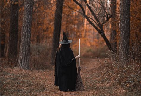 Las 60 Mejores Frases De Brujas