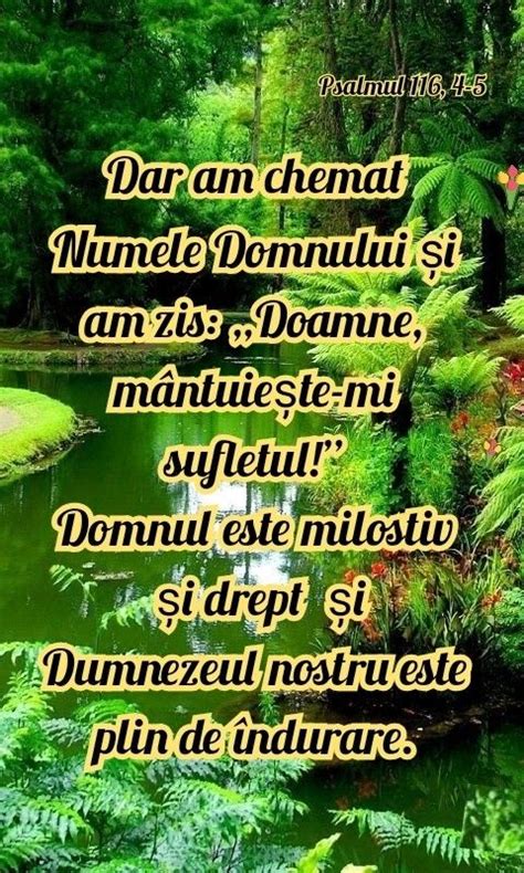Pin Di Maria Cioara Su Citate Religioase