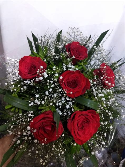Floricultura Center Flores Tradicional 6 Rosas Importada