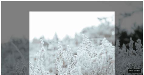 Vue Advanced Cropper Resizable Example Codesandbox