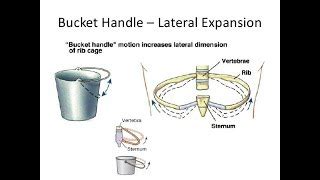Bucket Handle And Pump Handle Mechanism