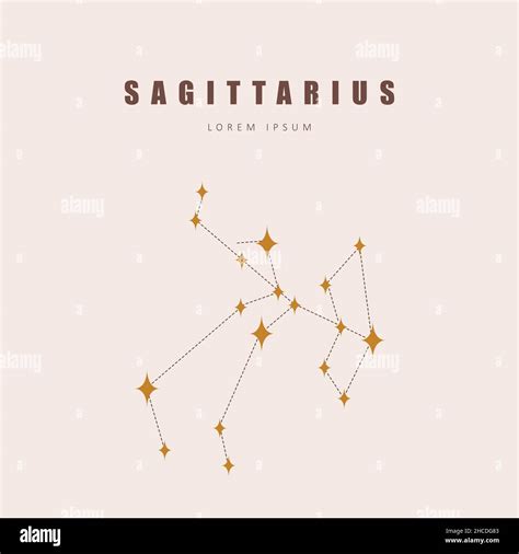 Sagittarius Zodiac Constellation Horoscope Vector Illustration In Boho