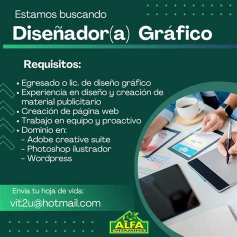 DISEÑADOR GRAFICO Trabajando Bolivia
