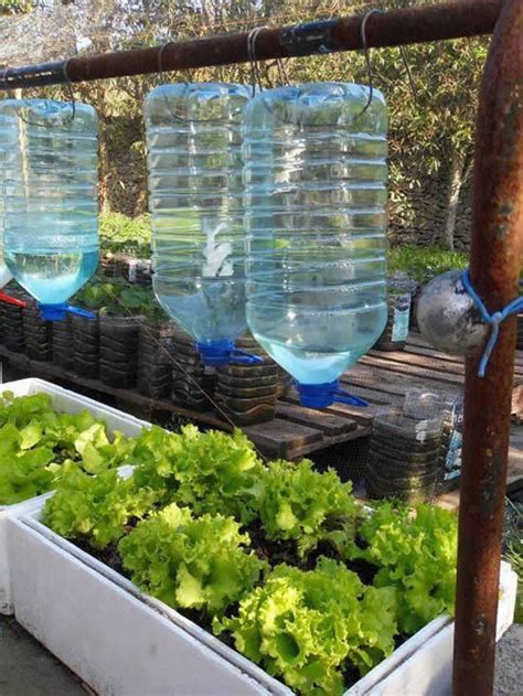Como Fazer Horta Caseira Como Plantar E Cuidar