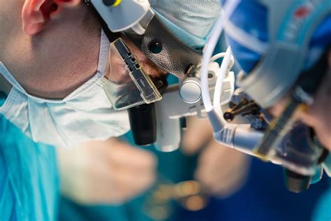 В США в организме человека впервые вырастят мини печень РБК Life