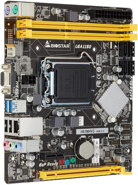BIOSTAR H81MHV3 LGA 1150 MATX 2X DDR3 INTEL H81 VGA HDMI 19MJ