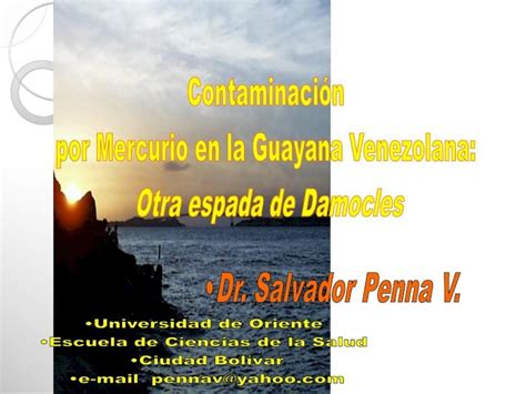 PDF Contaminación por mercurio en la Guayana Venezolana Otra espada