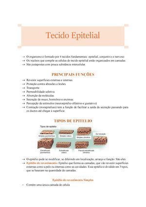 1º Unidade Bases DA Biologia Celular Molecular E Tecidual 2 PERÍODO