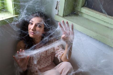 Escape Spiderwebs Stock Photos Free Royalty Free Stock Photos From
