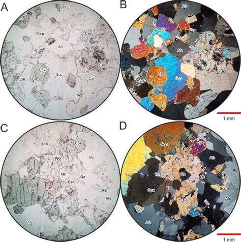 photomicrograph showing texture special features and representative download scientific