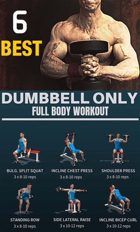 Full Body Dumbbell Workout Beginner