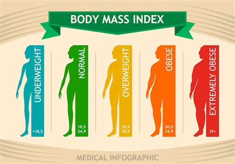 Free Vector Woman Body Mass Index Bmi Info Chart