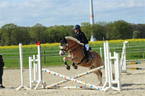 Reitverein Haltern LZRFV Haltern Am See E V