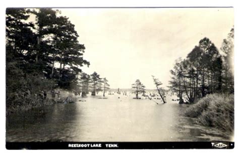 Reelfoot Lake Depth Map Sexiezpicz Web Porn