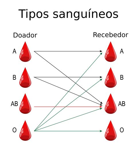 Qual Tipo Sangu Neo Universal Librain